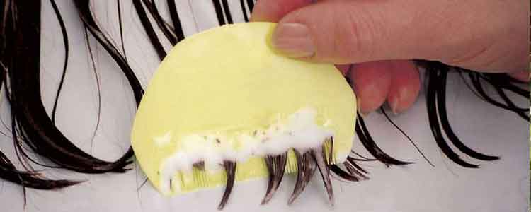 The Top Home Remedies For Head Lice